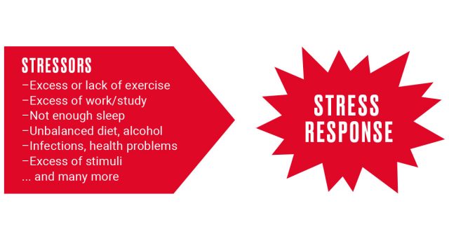 Recovery From Exercise – What’s Stress Got To Do With It? | Polar Blog