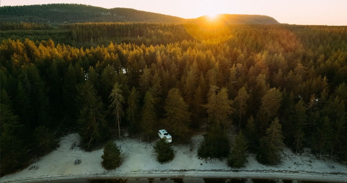 What is LSD? | Polar Global